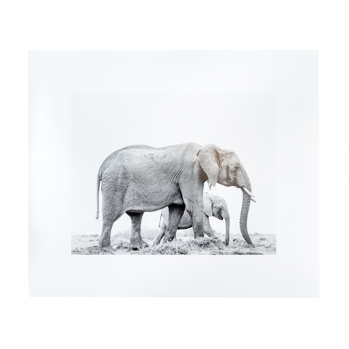 Lustre Photo Prints | Traditional Photographic Prints With A Lustre ...